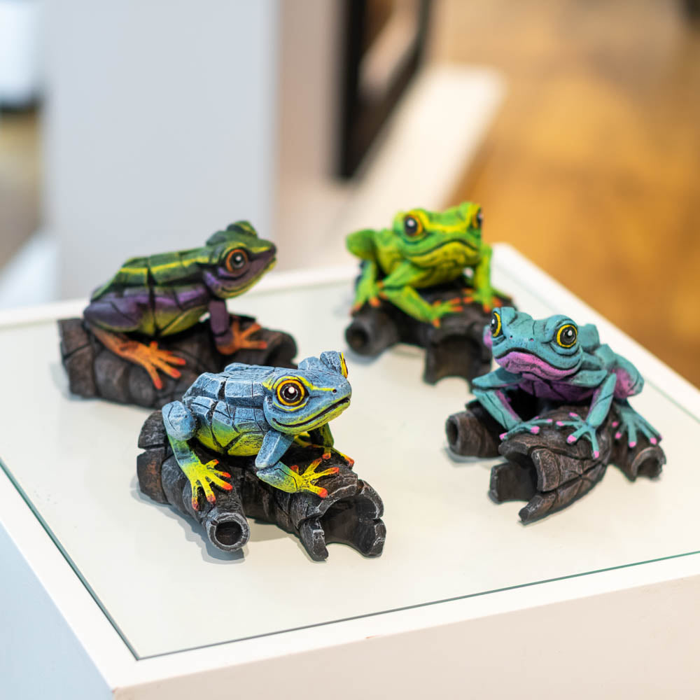Edge Sculpture African Tree Frog by Matt Buckley & Artmarket Gallery